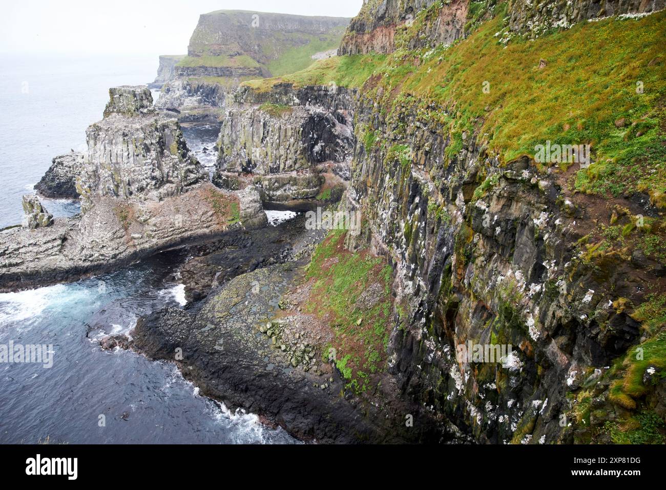 cliffs and seabird nesting colonys at west rathlin rspb centre rathlin ...