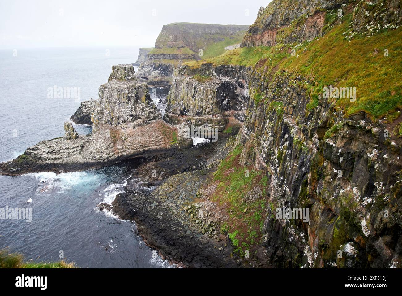 cliffs and seabird nesting colonys at west rathlin rspb centre rathlin ...