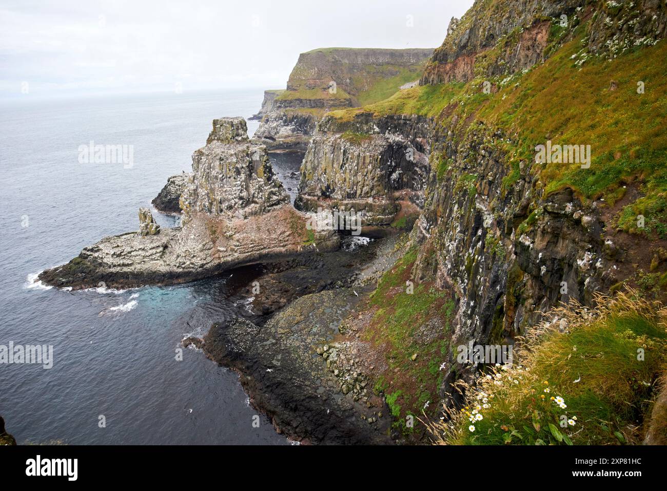 Rspb rathlin west light sea centre hi-res stock photography and images ...