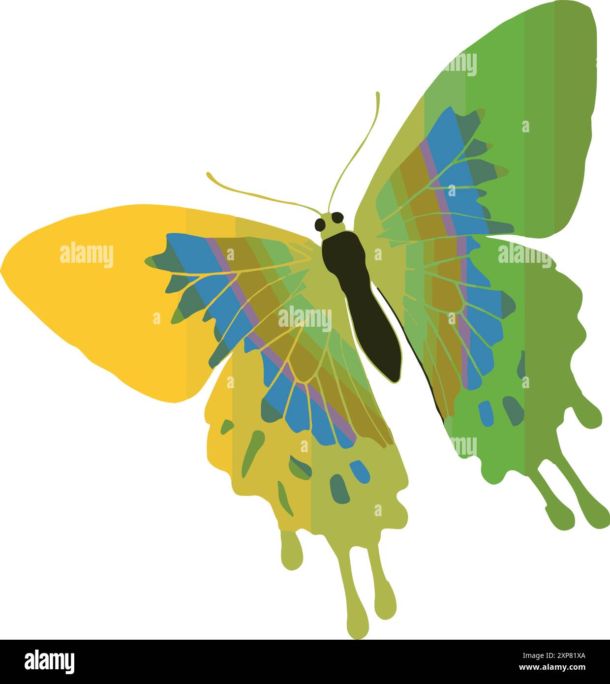 Colorful Butterfly Vector Art Illustrations Stock Vector Image & Art ...