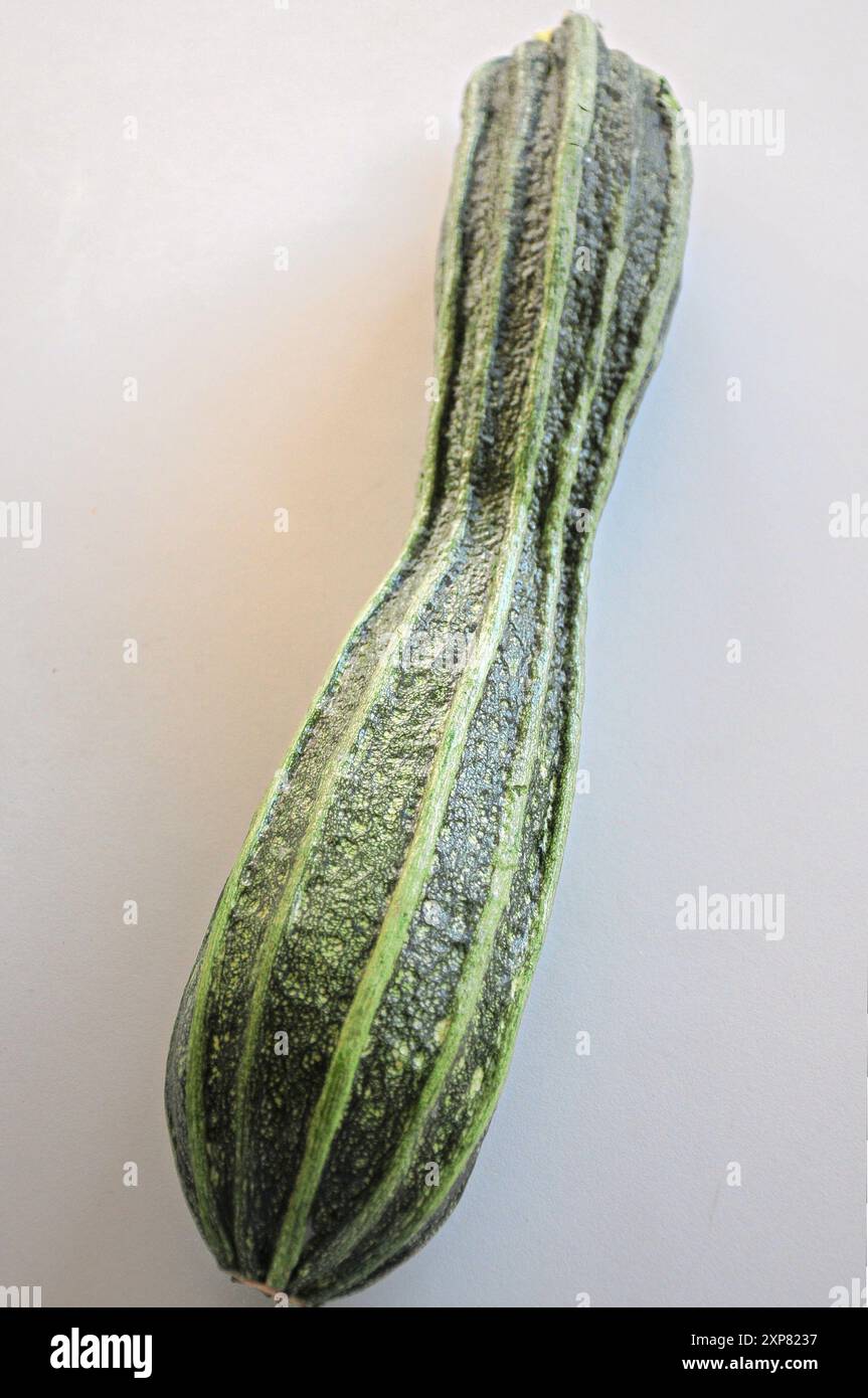 Heirloom cocozele squash hi-res stock photography and images - Alamy