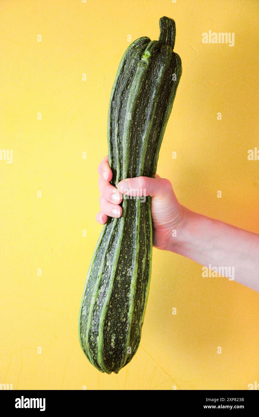 Portland. 4th August 2024. On an early morning visit to his Portland ...