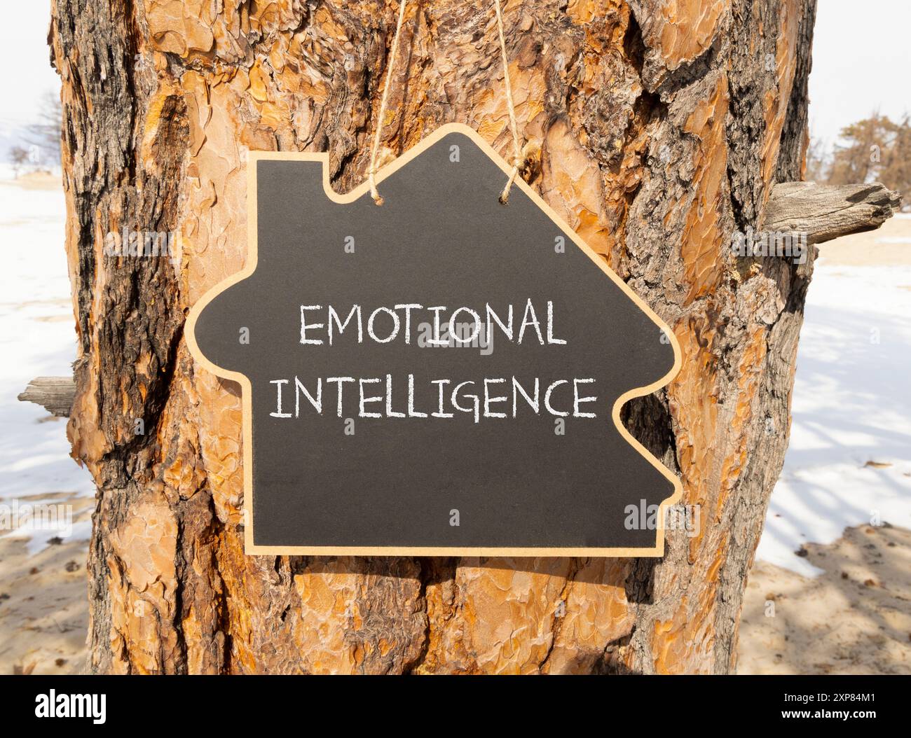 EI emotional intelligence symbol. Concept words EI emotional ...