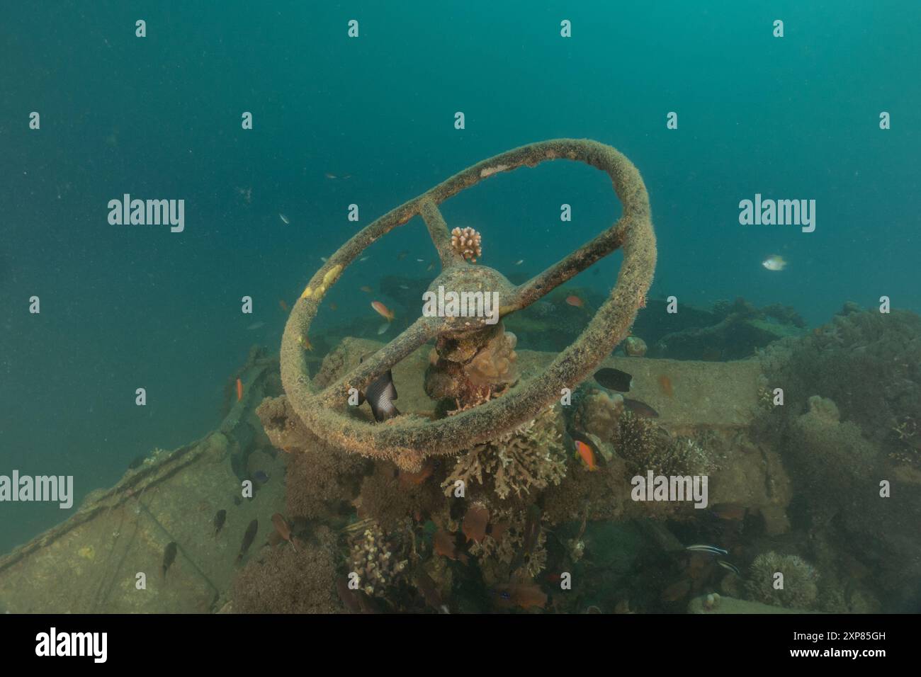 Sea pollution in metals and other garbage in the Red Sea Israel Stock ...