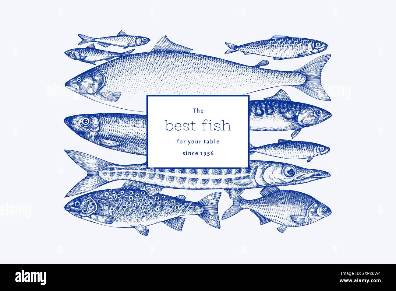 Vintage Style Fish Illustration. Vector Hand Drawn Seafood. High ...
