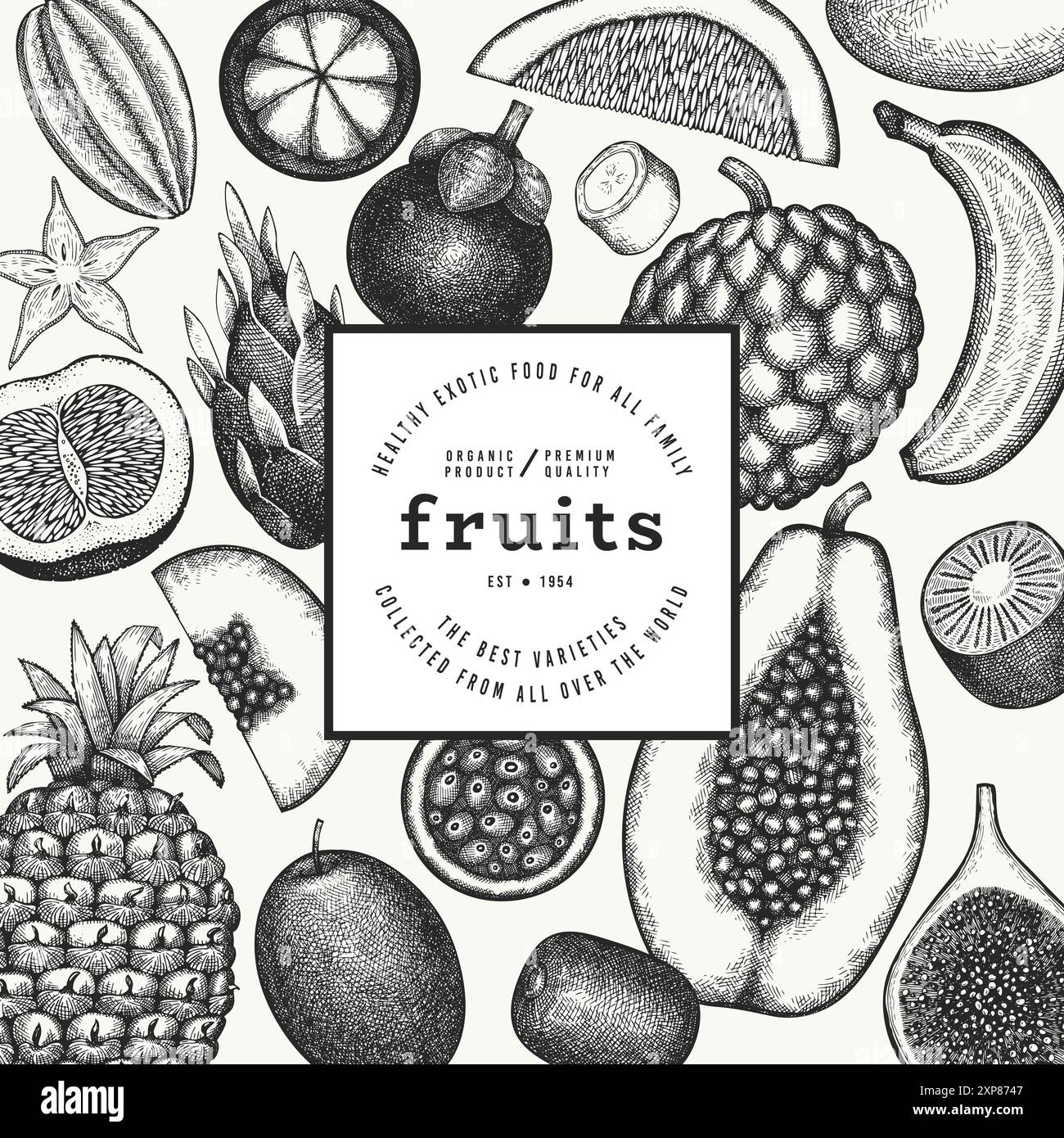 Tropical Fruit Design Template. Vector Hand Drawn Exotic Fruit Banner ...