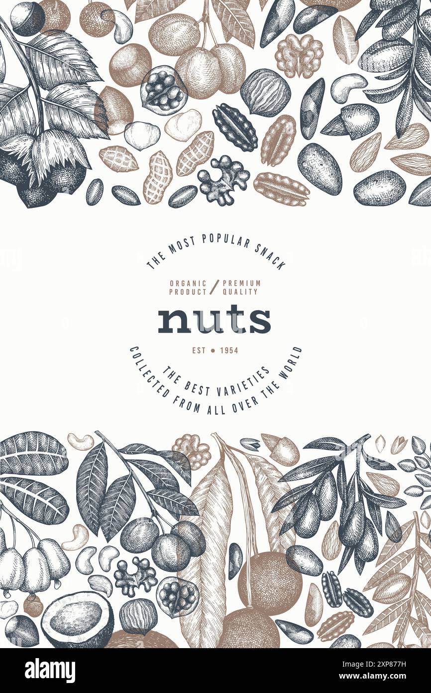 Hand Drawn Nuts Branch And Kernels Template. Organic Seed Vector Design ...