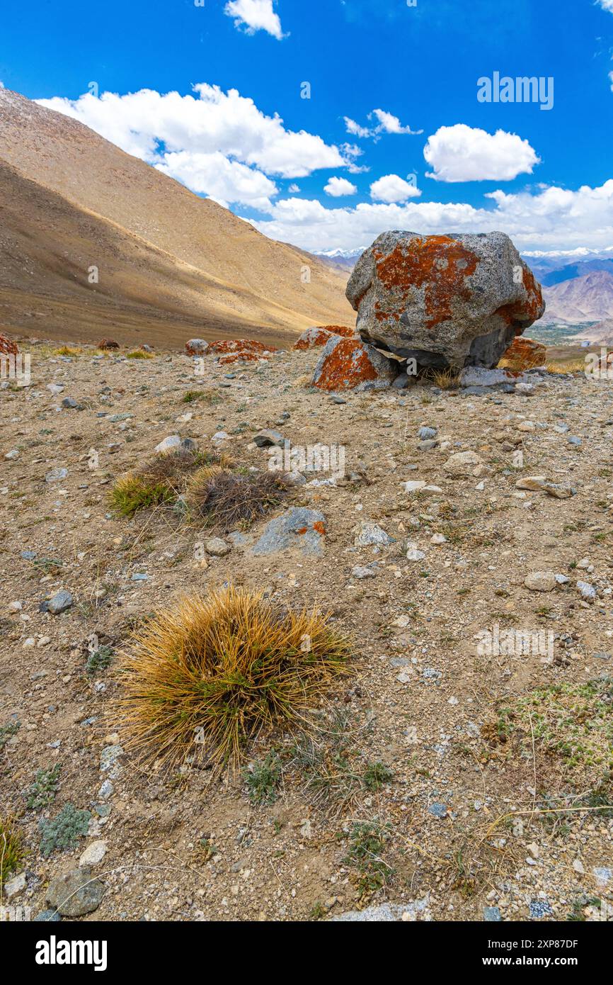 Fossil formed on rocks at a high-altitude mountain pass called Warila ...