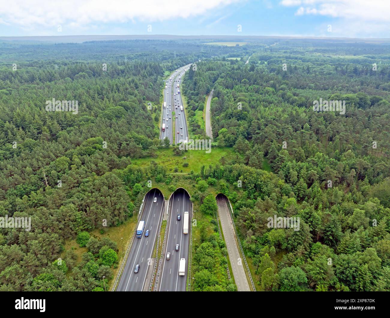 Cerviduct hi-res stock photography and images - Alamy