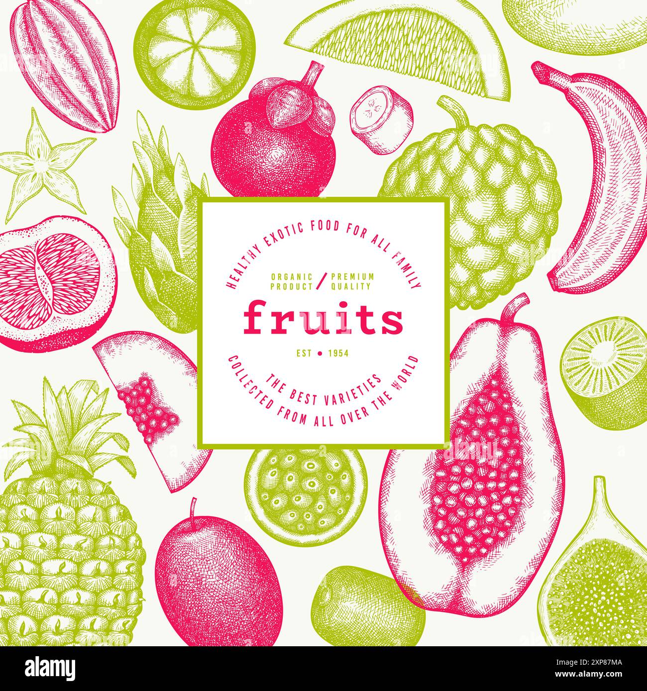 Tropical Fruit Design Template. Vector Hand Drawn Exotic Fruit Banner ...