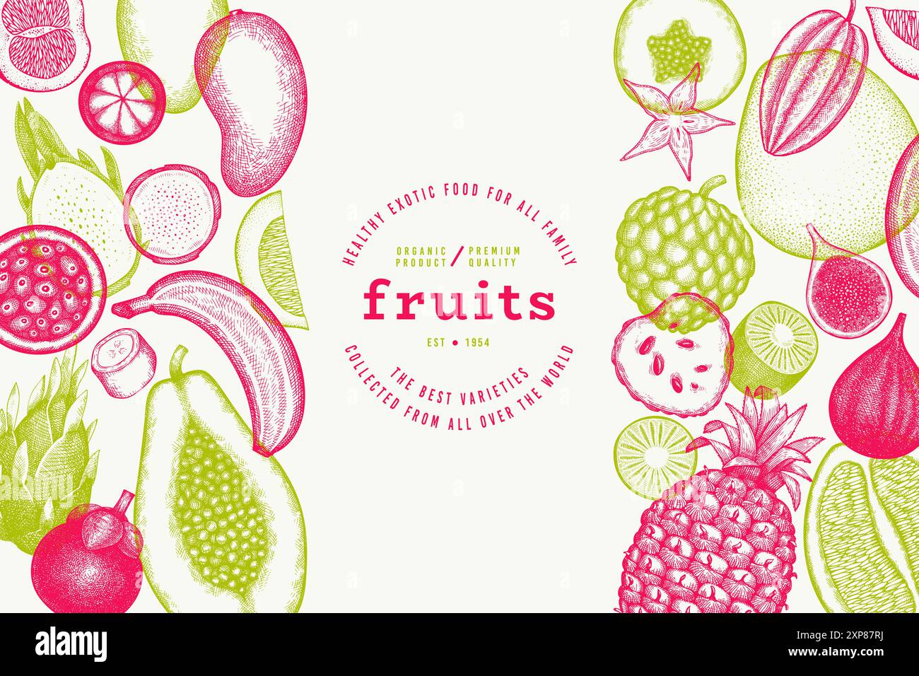 Tropical Fruit Design Template. Vector Hand Drawn Exotic Fruit Banner ...