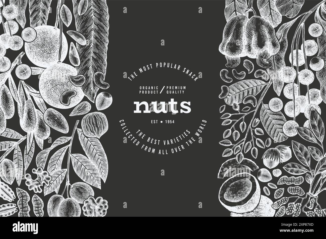 Hand Drawn Nuts Branch And Kernels Template. Organic Seed Vector Design ...