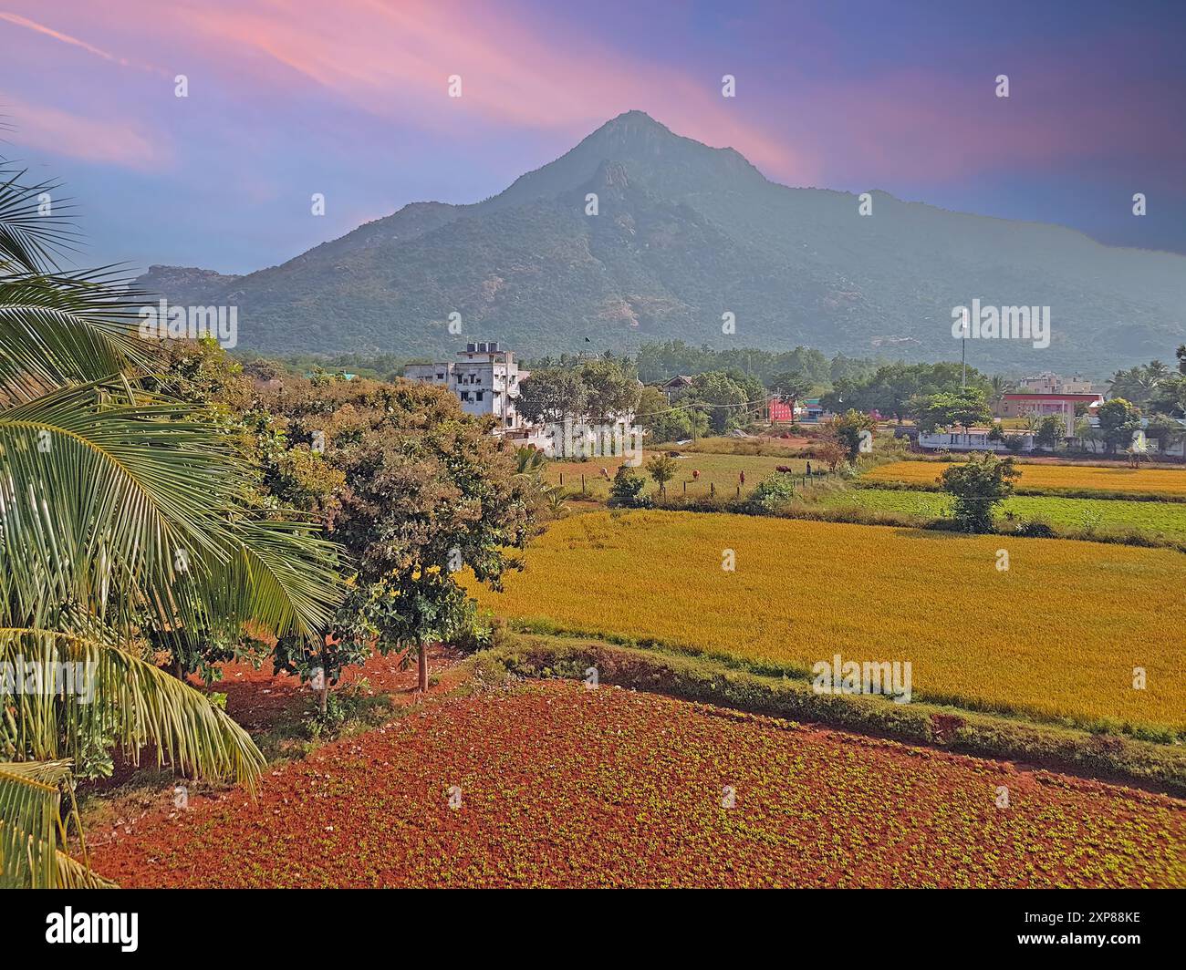 Arunachala hi-res stock photography and images - Alamy