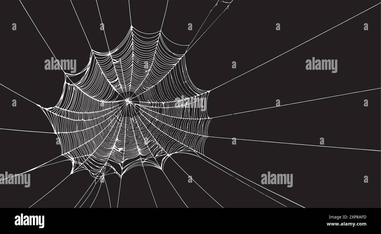 Webbing spider Stock Vector Images - Alamy