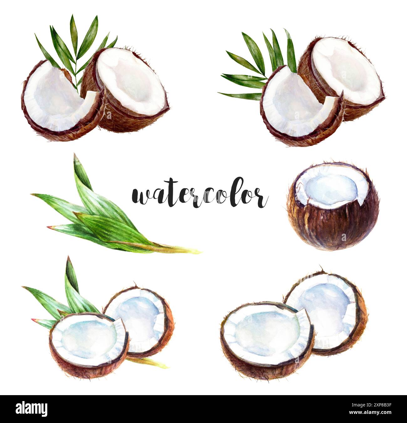 Beautiful Watercolor Coconut Illustrations Featuring Vibrant Leaves and ...