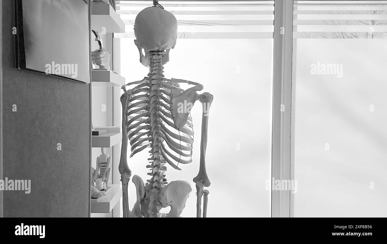 Modern medical office Black and White Stock Photos & Images - Alamy