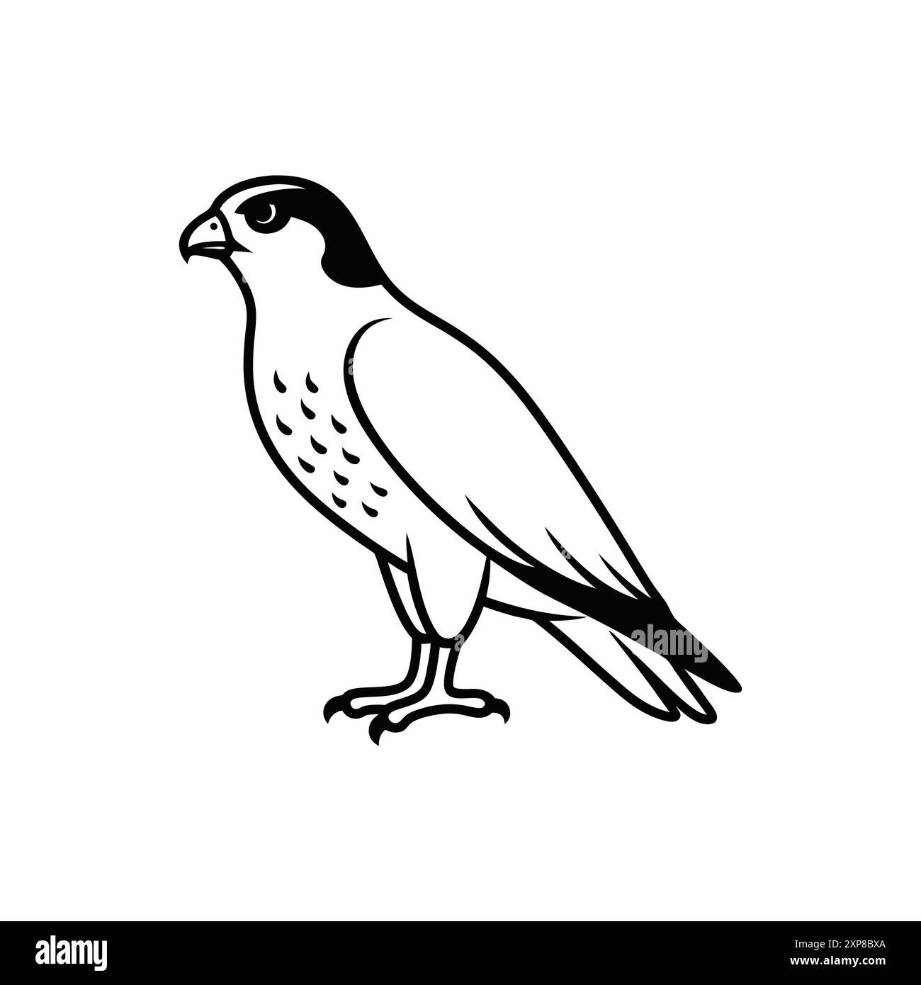 Falcon flying silhouette bird Cut Out Stock Images & Pictures - Alamy