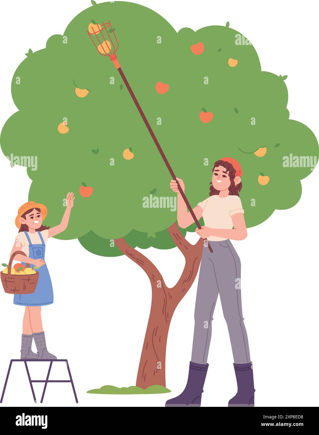 Woman harvest fruits from tree. Farm work illustration isolated on ...