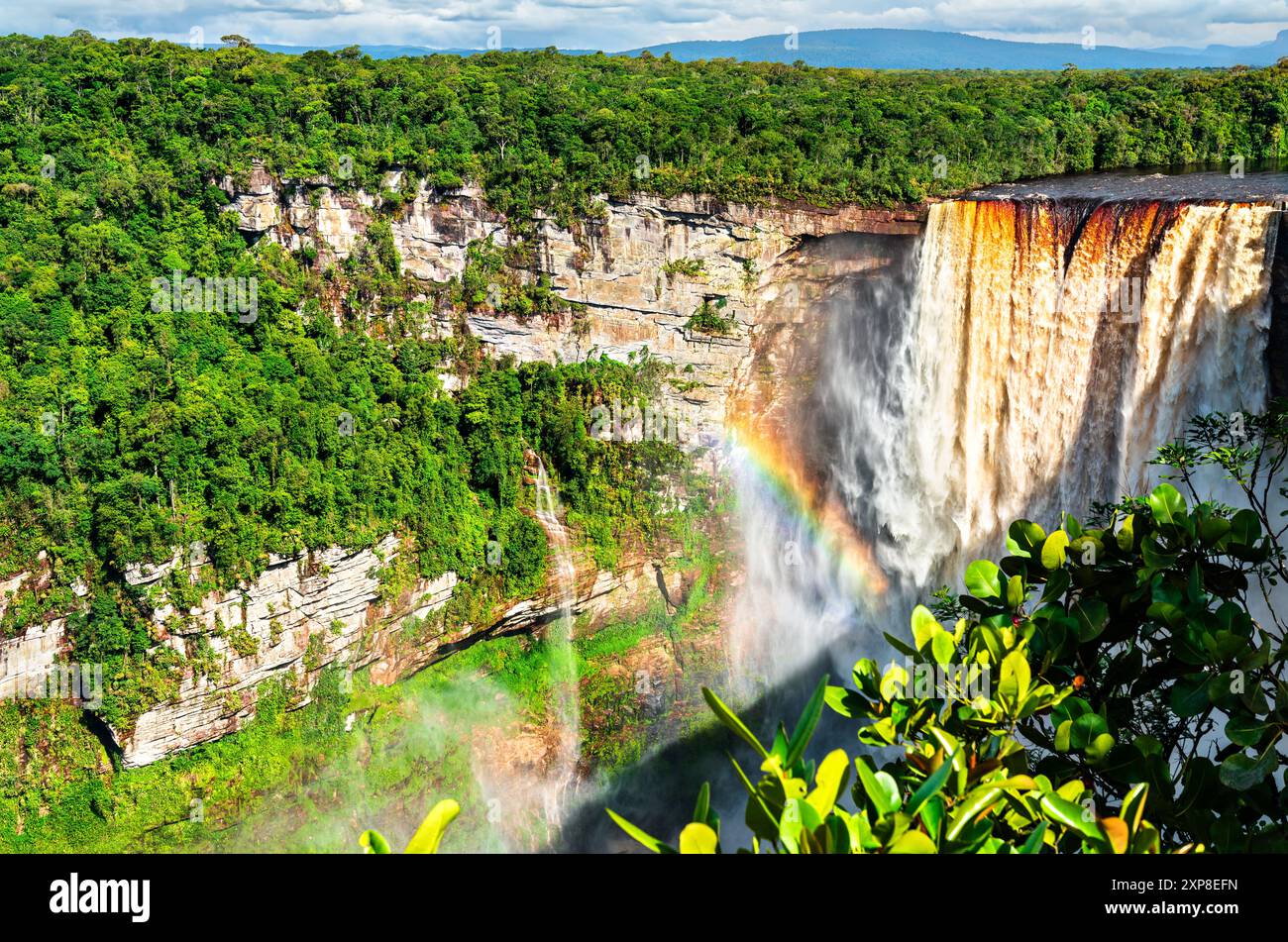 Kaieteur Falls with a rainbow in Amazon rainforest of Guyana. One of the highest and most ...