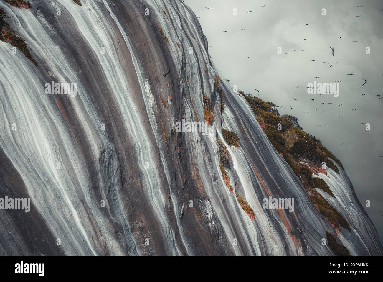 A detailed close-up of Ilha Cagarra's rock face, showing dramatic ...