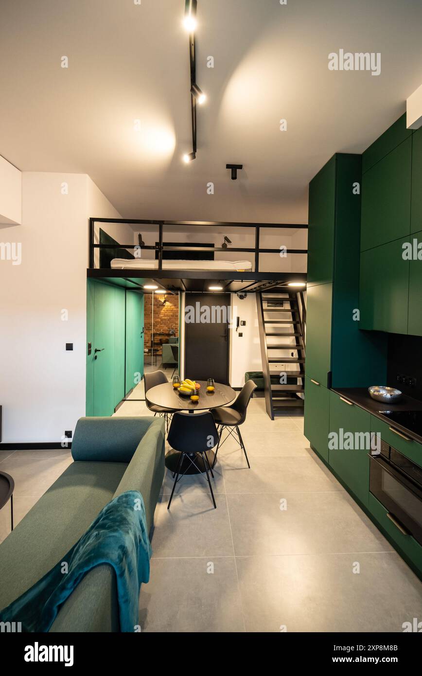 Modern studio apartment with a mezzanine bedroom. Stylish kitchen ...