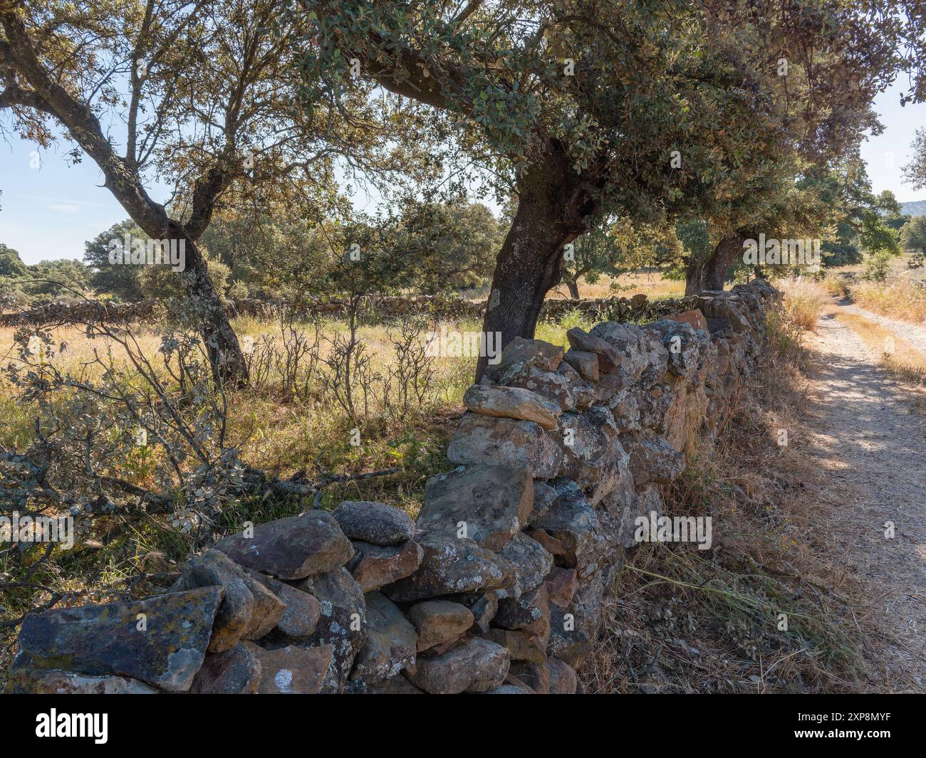 Rustic Stone Wall Along Countryside Path Stock Photo - Alamy