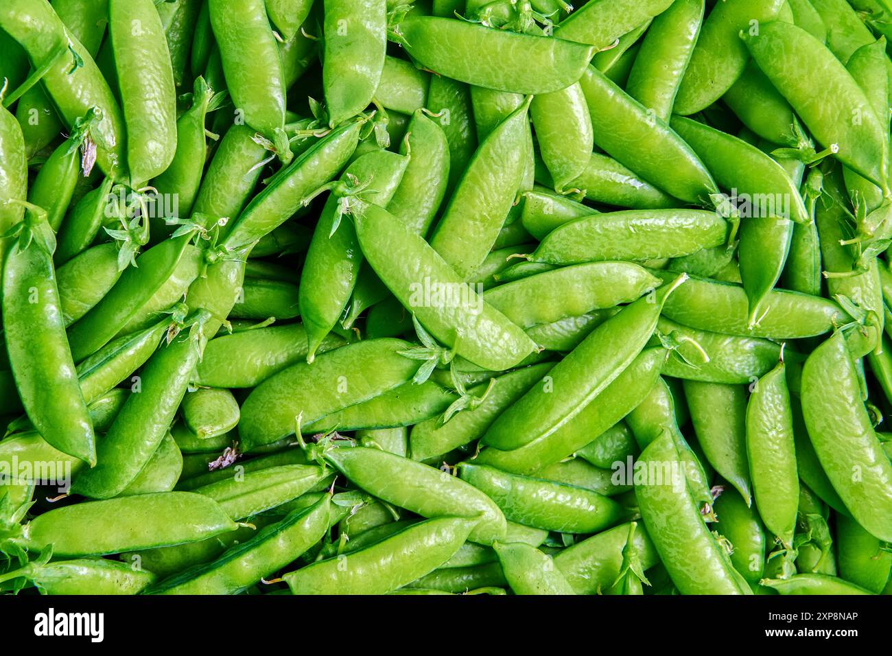 Pod texture hi-res stock photography and images - Alamy