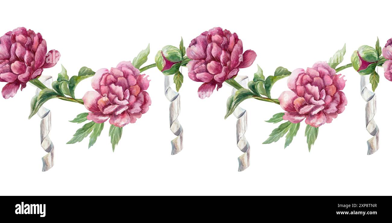 Burgundy peonies, white ribbon. Seamless border. Hand drawn botanical ...