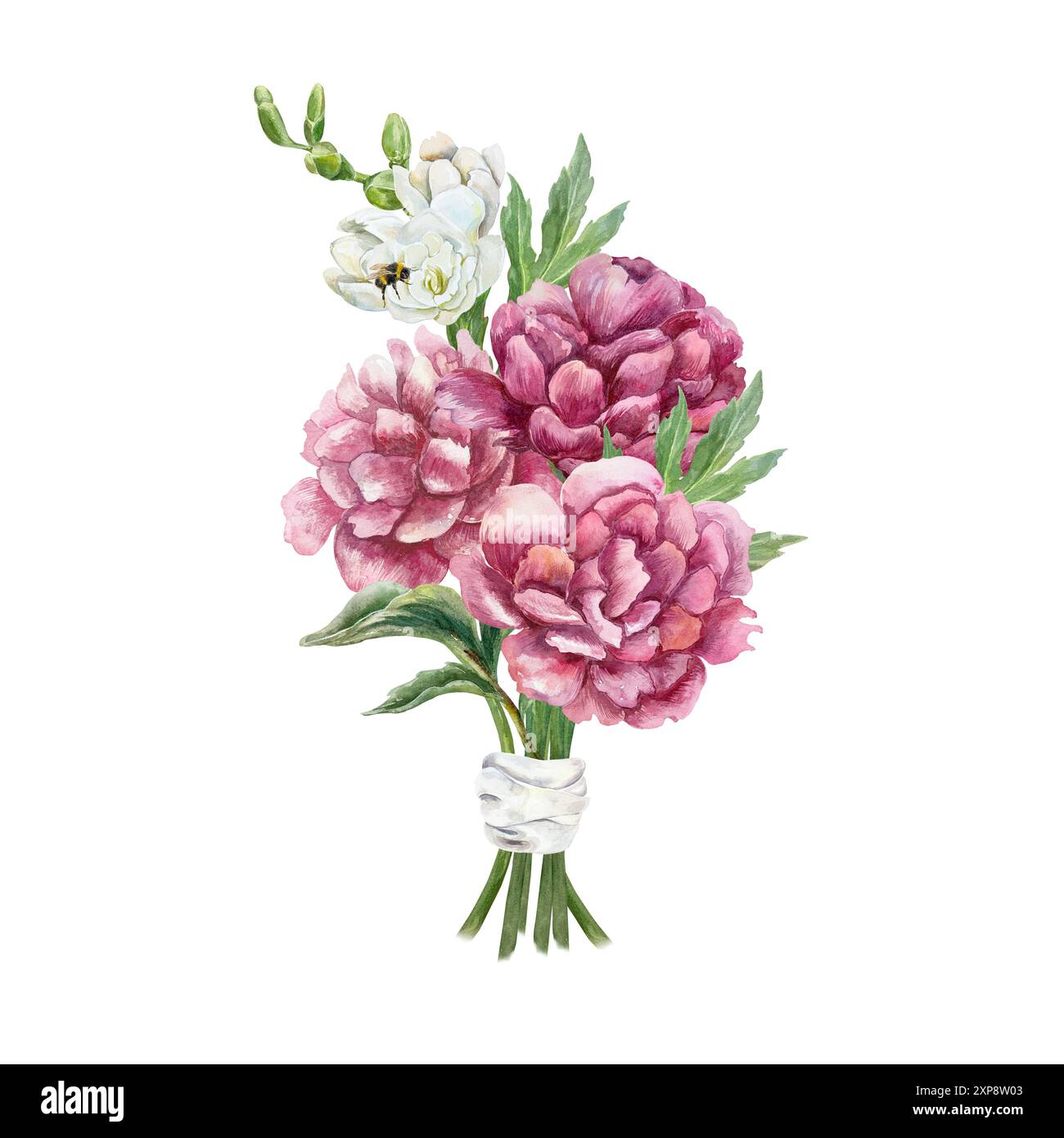 Peonies bouquet with white freesias. Burgundy flowers with green leaves ...