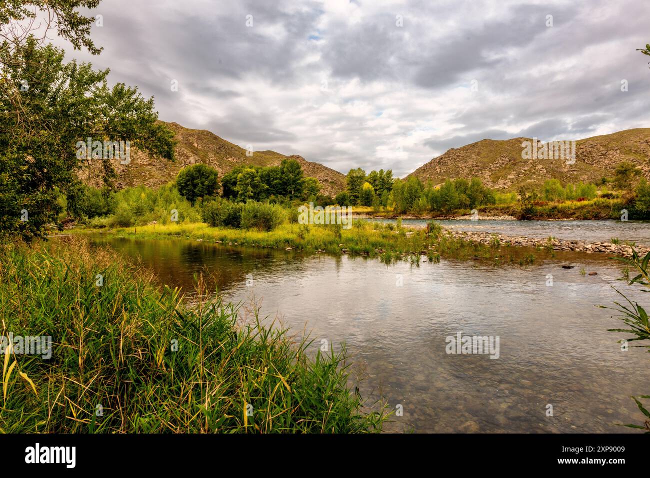 Riverbed flowing river among trees hi-res stock photography and images ...