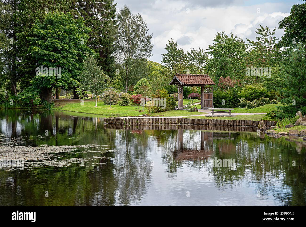Landscape photography of Japanese style garden; park; botanic; stone ...