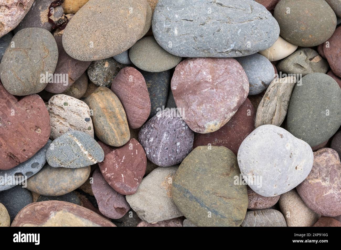 Colourful pebbles on Penally beach, near Tenby Stock Photo - Alamy