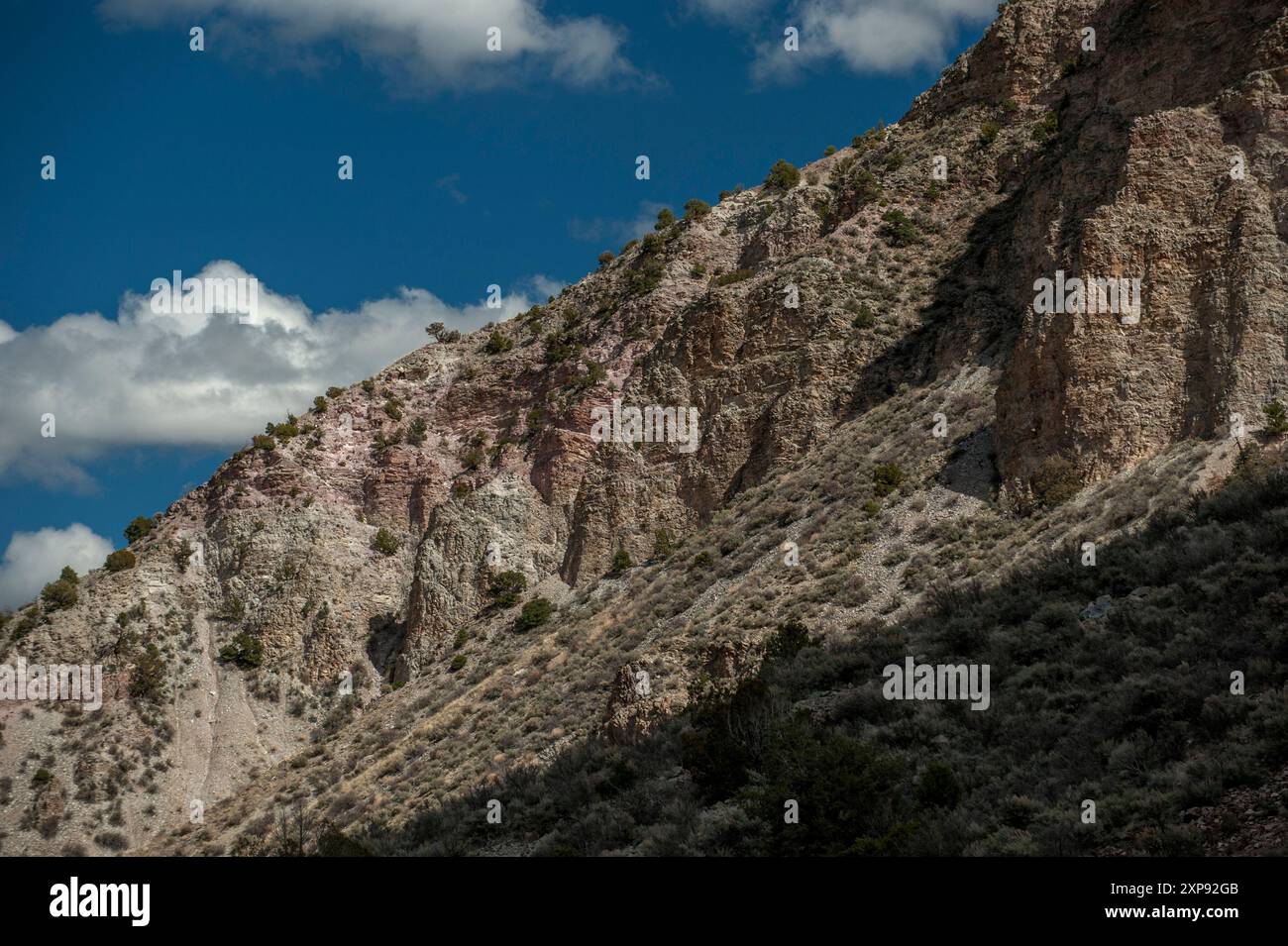 Pink cliffs of unknown geology on the east wall of the Rio Grande Gorge ...