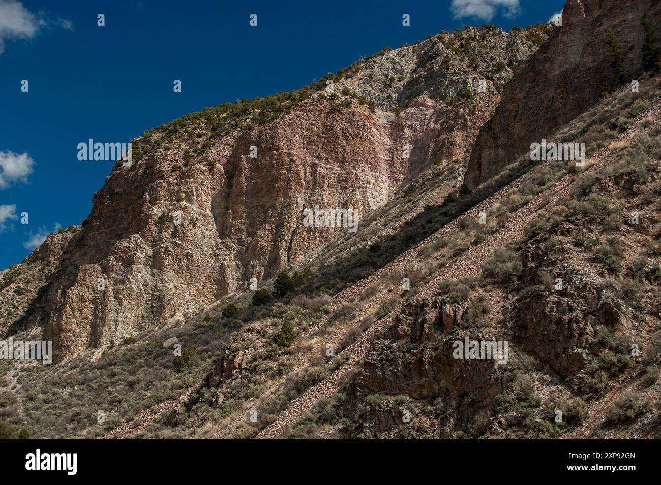 Pink cliffs of unknown geology on the east wall of the Rio Grande Gorge ...