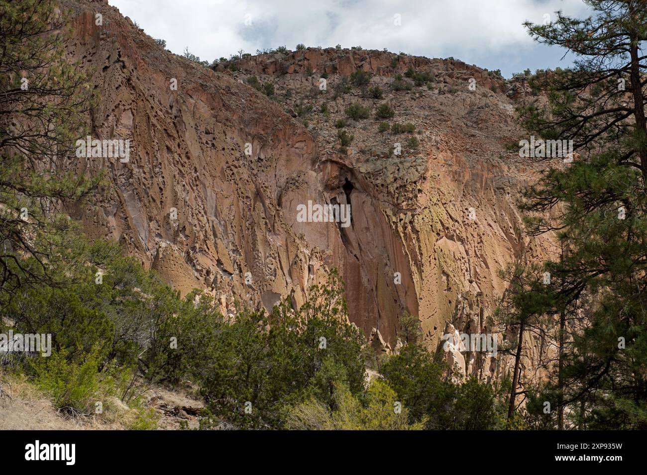 Cliff of volcanic tuff along the "Falls Lower Frijoles" trail at the ...