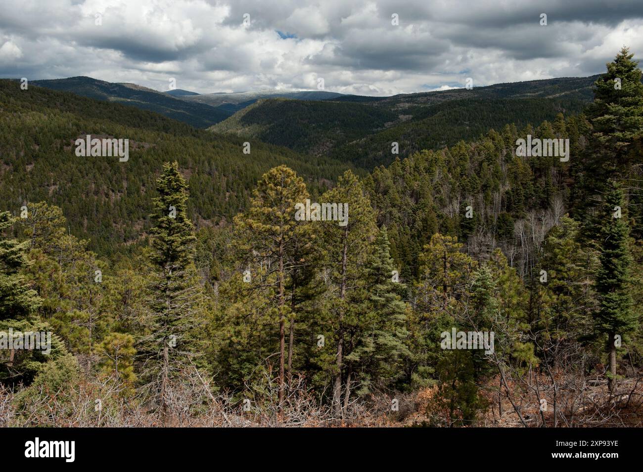 New Mexico's Sangre de Cristo Mountains, the southernmost range of the ...