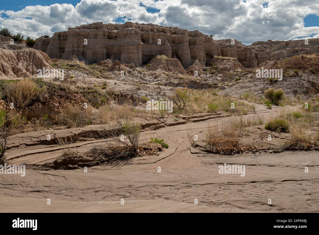 Cliffs of volcanic tuff and a dry wash near Abiquiu, New Mexico Stock ...