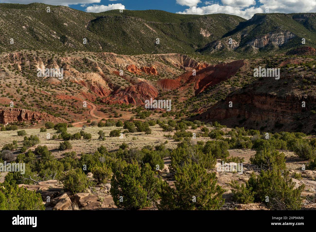 Badlands of Chinle Formation rock at the Chama River near Abiquiu, New ...