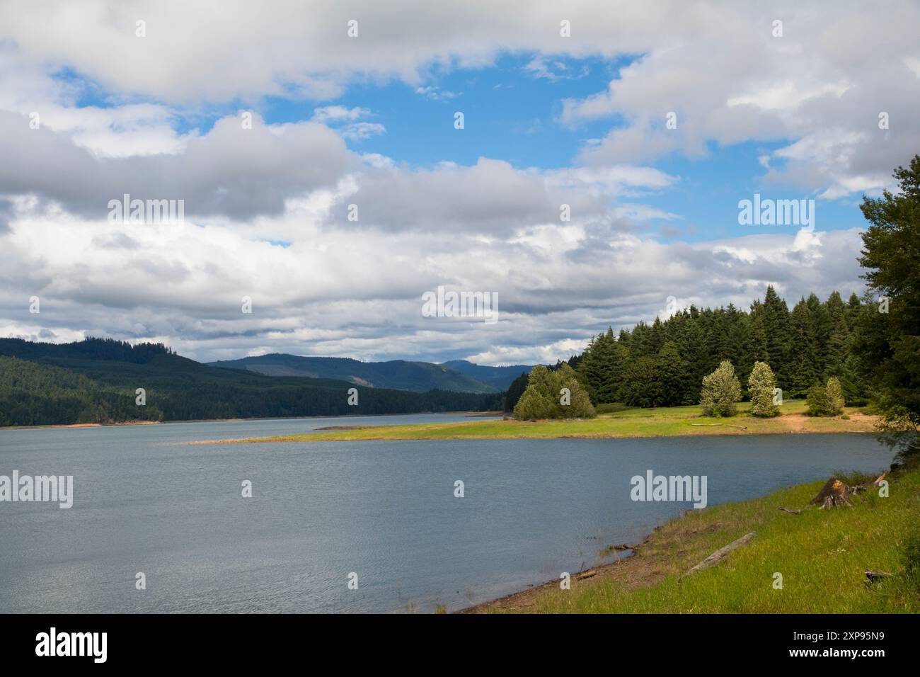Springfield oregon hi-res stock photography and images - Alamy