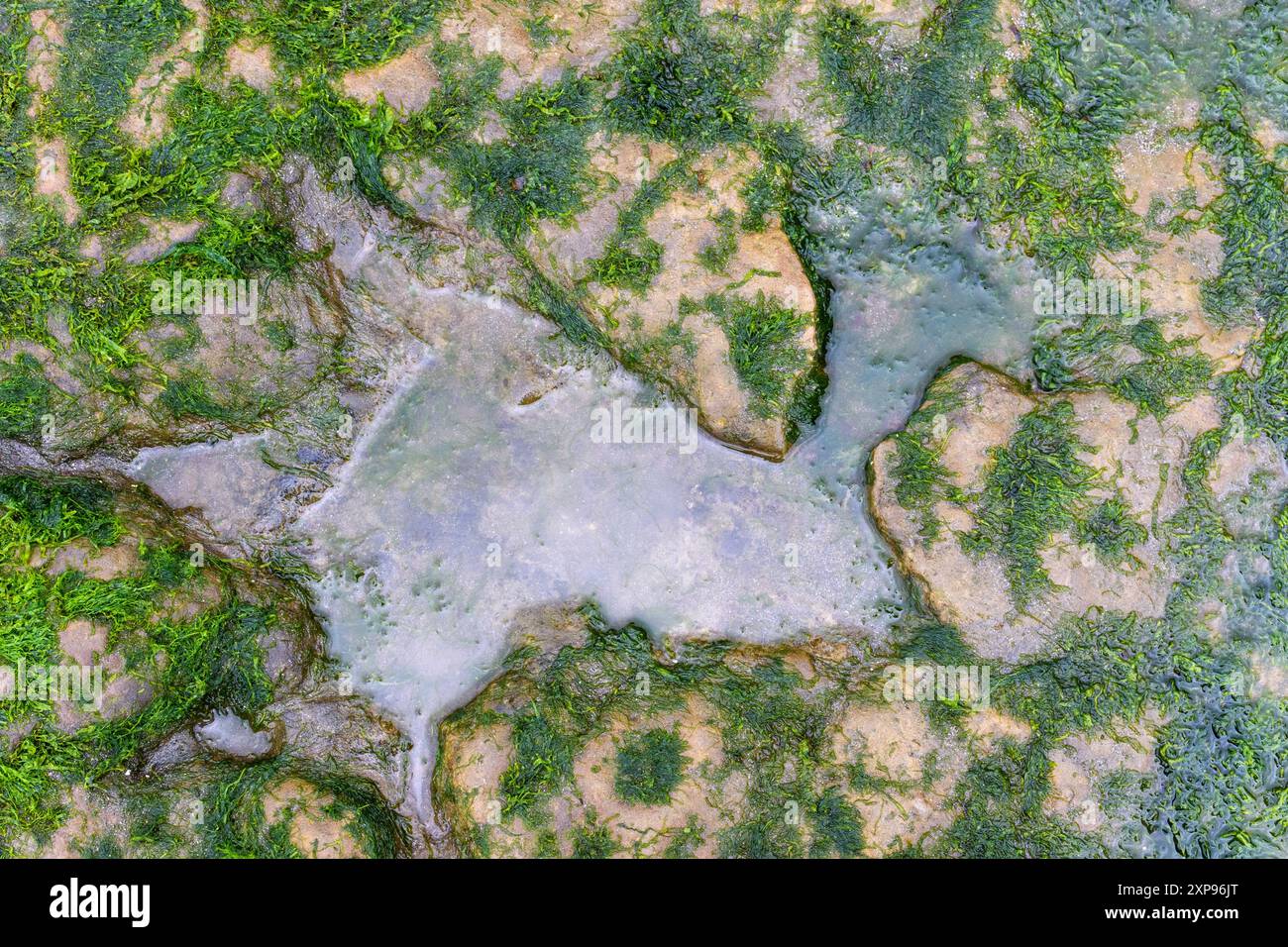 Three toed dinosaur footprint hi-res stock photography and images - Alamy