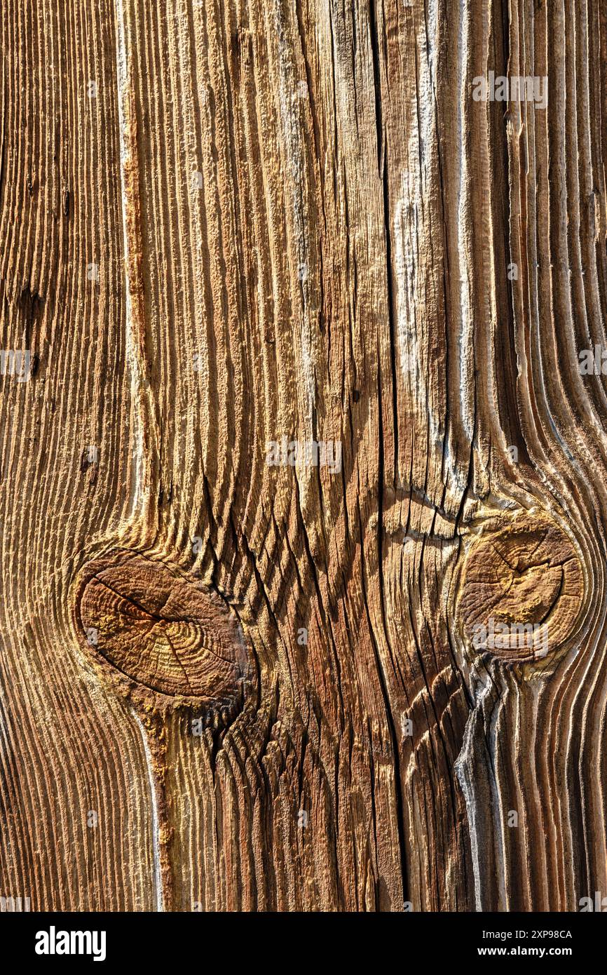 Texture of dark brown old wood. Charred and burnt old Board with knots ...