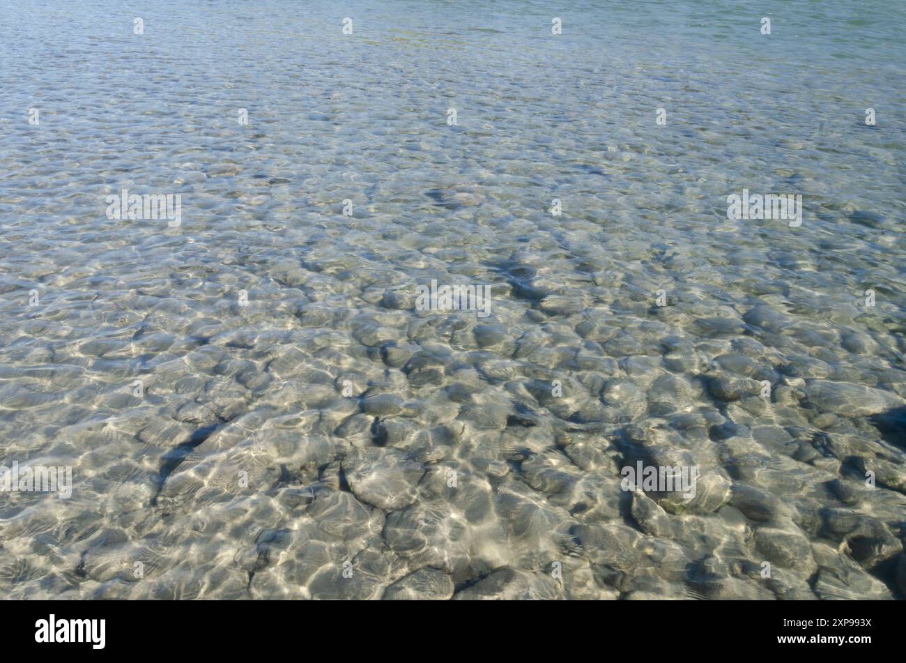 Amazing view of the Vedder Riverbed with pebbles visible through ...
