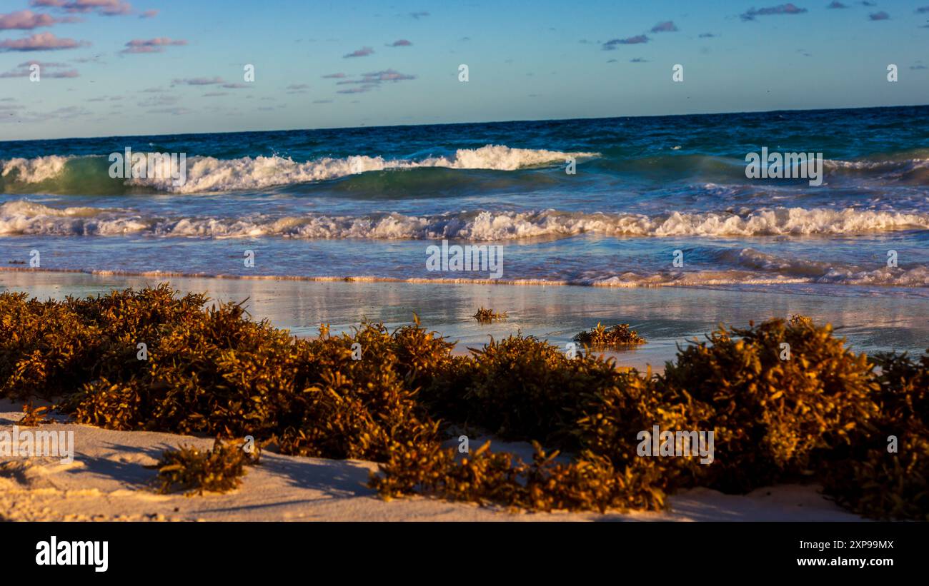 Horseshoe Bay Beach and Deep Bay Beach in Hamilton, Bermuda Stock Photo ...