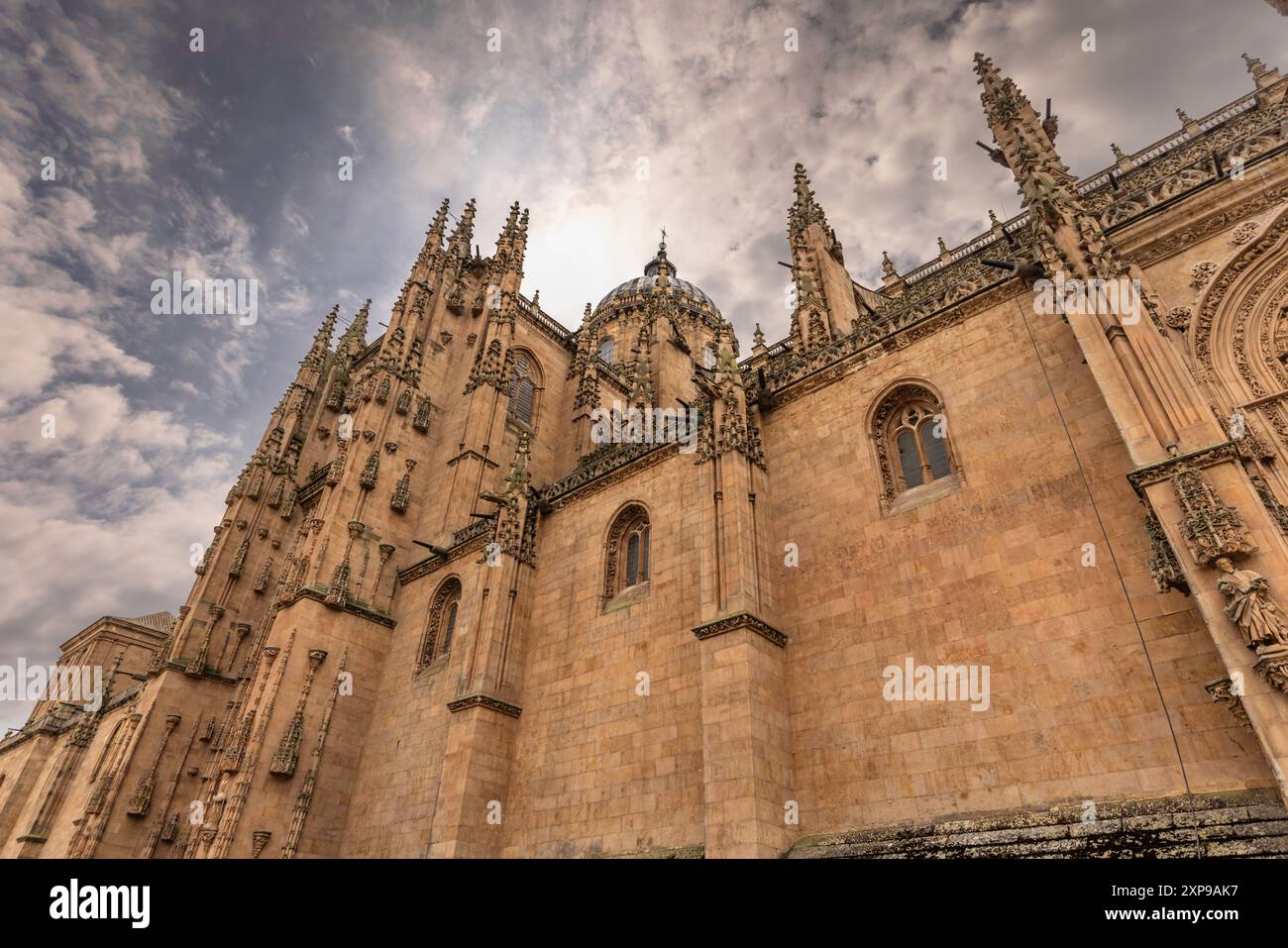 Museums of salamanca hi-res stock photography and images - Alamy