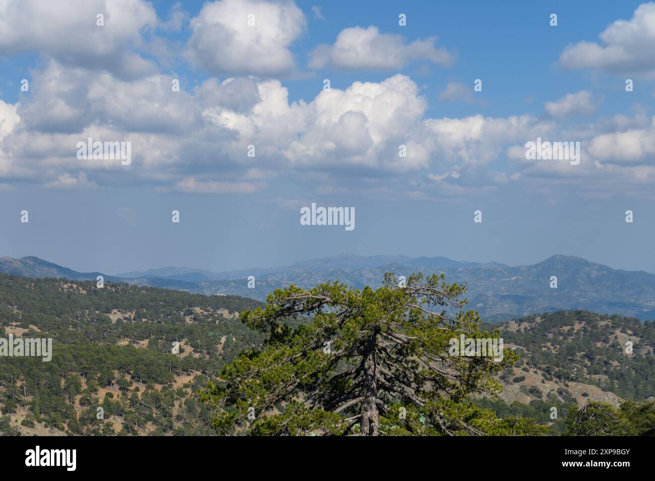 Alpine scenery in the mountain system of Troodos, Cyprus Stock Photo ...