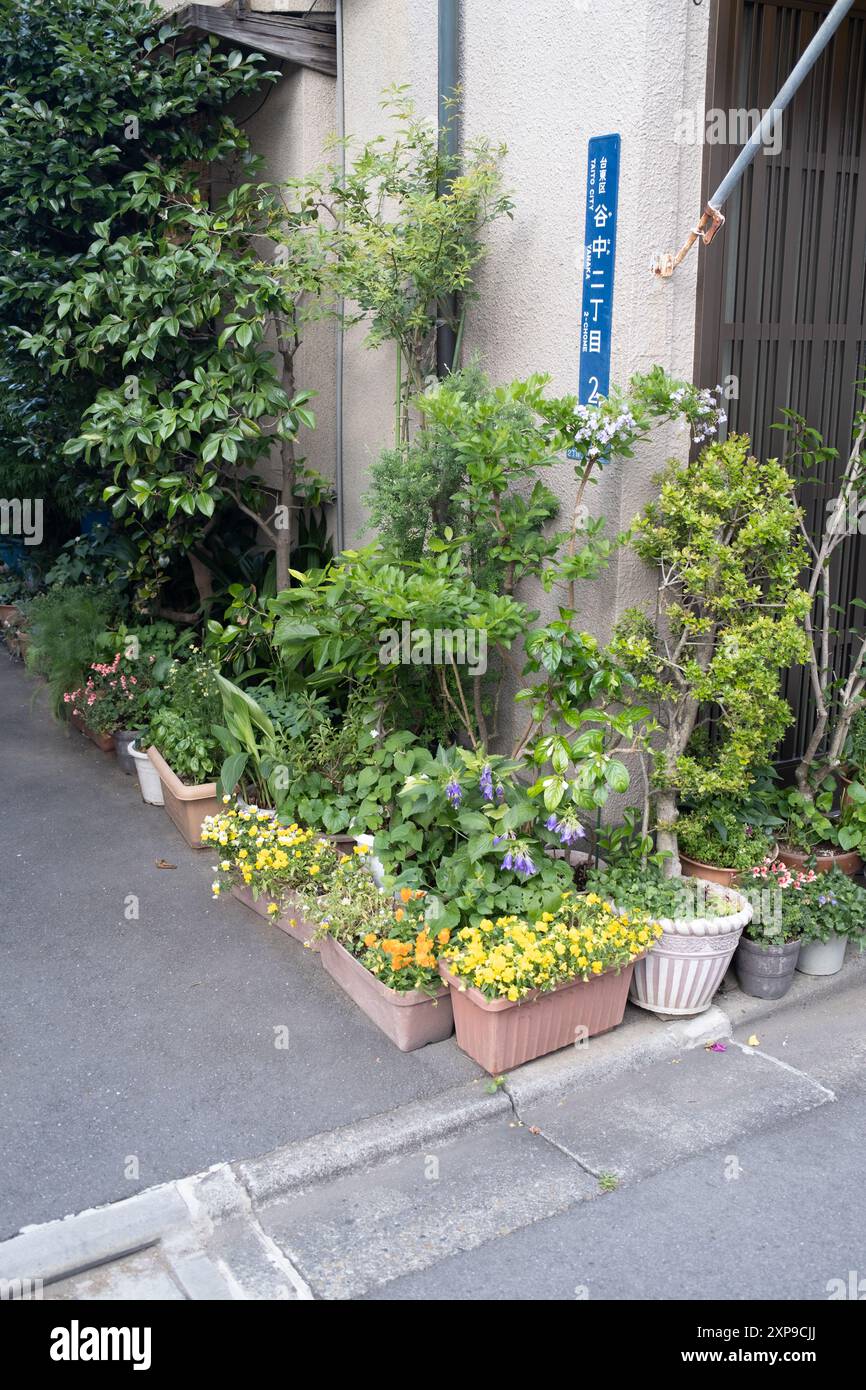 Yanak district hi-res stock photography and images - Alamy