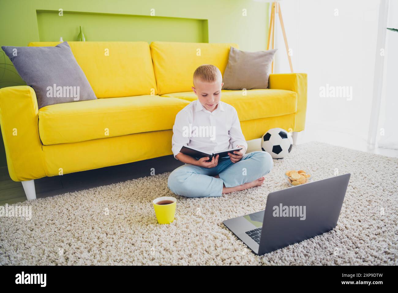 Full size photo of small cute son pupil sit floor do homework netbook ...