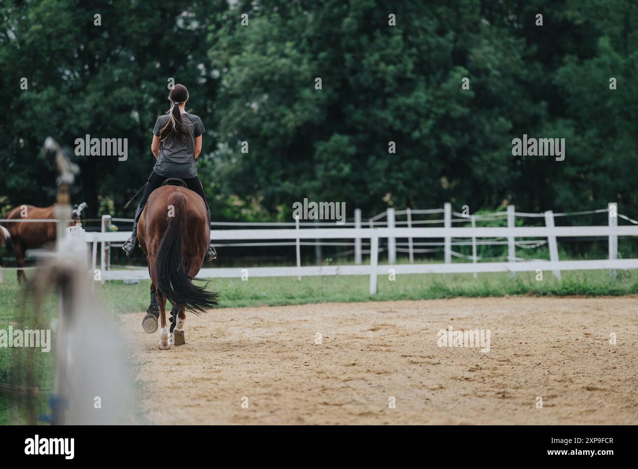 Girl riding horse at ranch for equestrian training and outdoor leisure ...