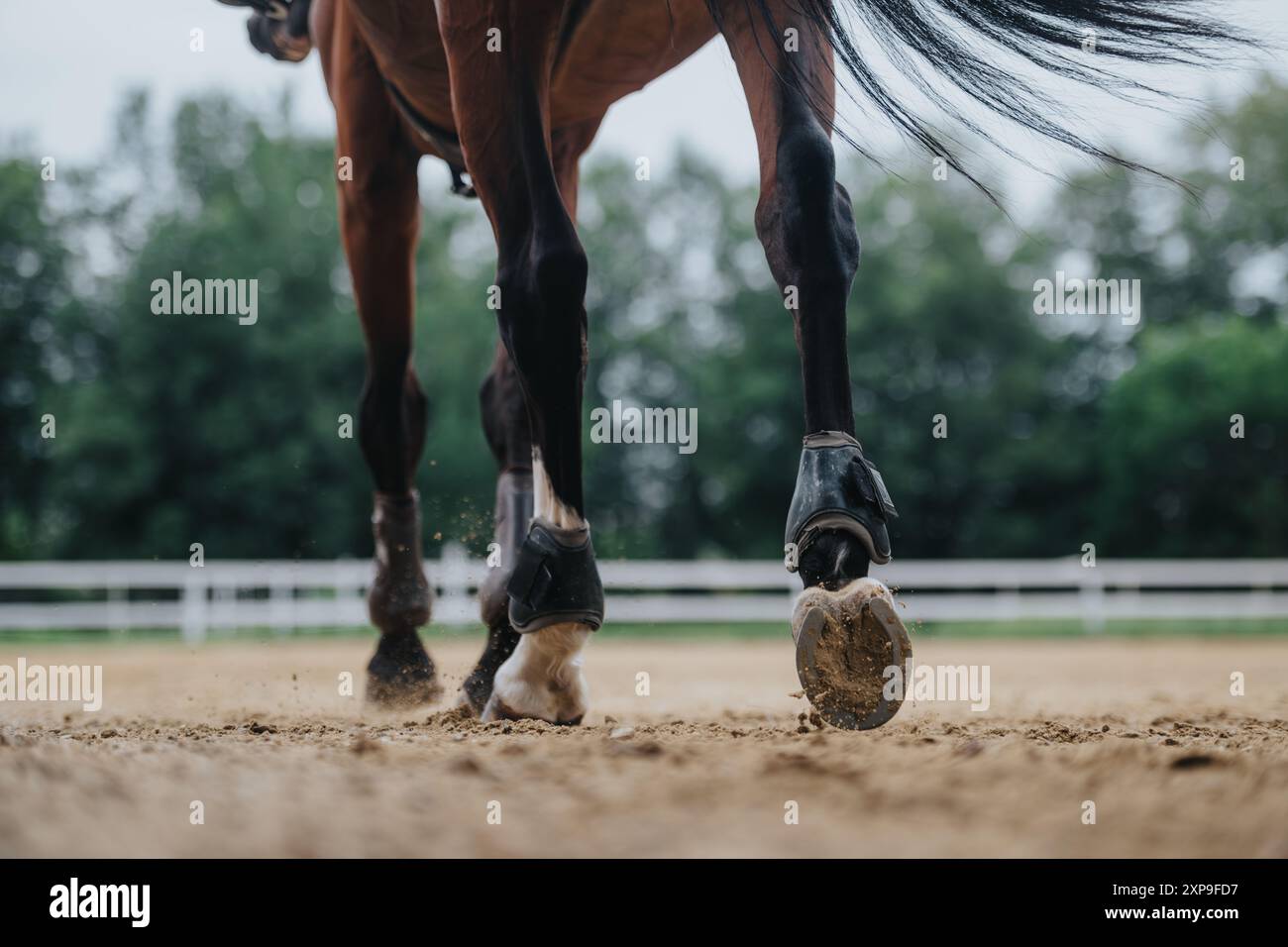 Trotting race harness racing track hi-res stock photography and images ...