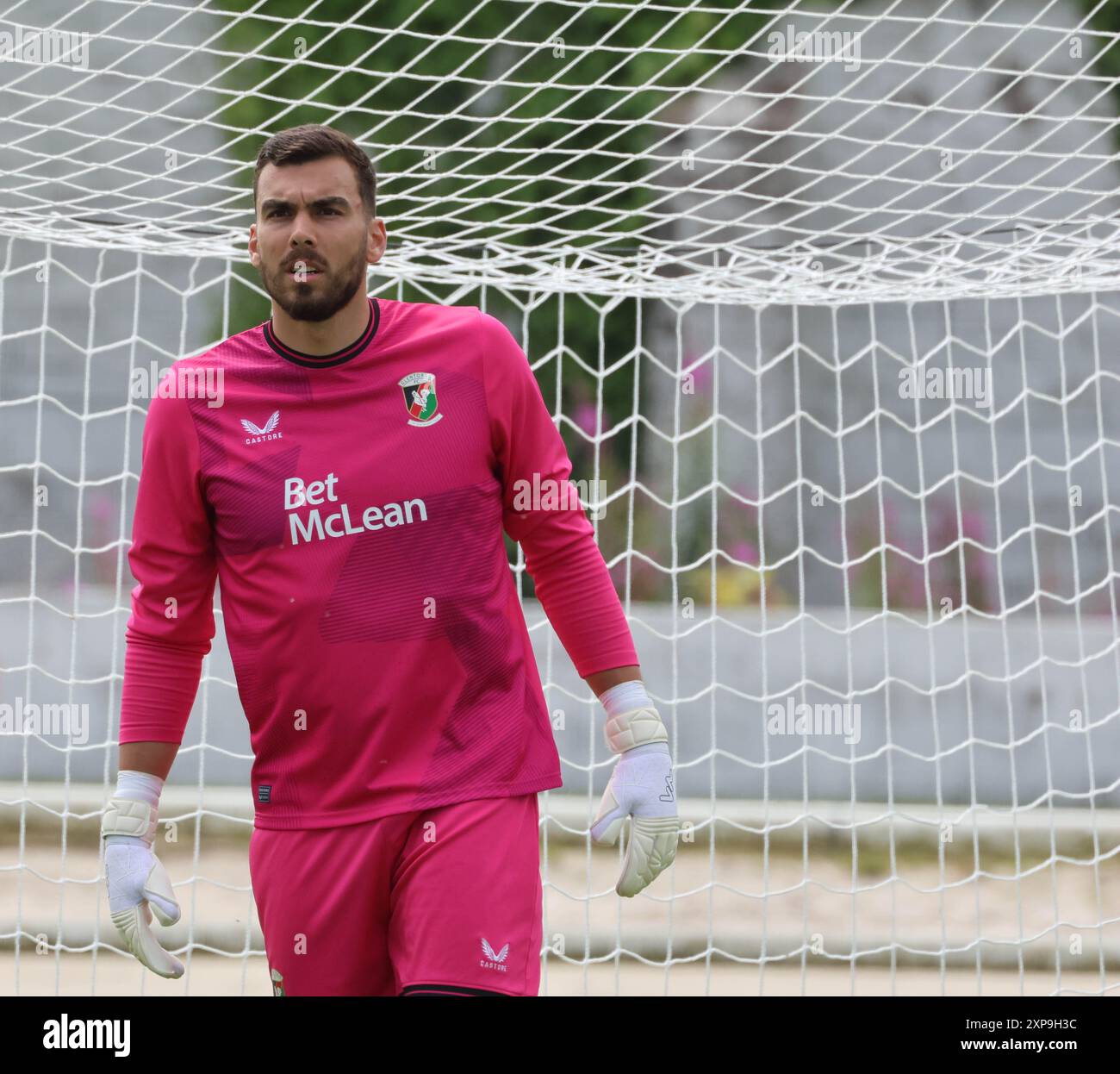 Gyollai daniel 2024 hi-res stock photography and images - Alamy